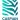 caspian (CSP) Token