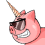 SwinCoin
