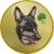 Broccoli (firstbroccoli.com) BROCCOLI logo