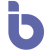 BSocial BINS logo