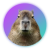 Capybara CAPY logo