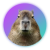 Capybara CAPY logo