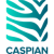 Caspian CSP logo