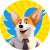 CORGI CEO
