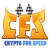 CryptoForSpeed CFS logo