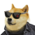 DogeFi DOGEFI logo