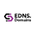 EDNS Token EDNS logo