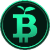 Green Bitcoin