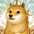 HolyDoge HDOGE logo