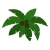 Jungle JUNGLE logo