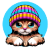 KittenWifHat