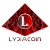 Lydia Coins (USAD) USAD logo