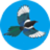 MagpieCoin