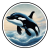 ORCA INU ORCAINU logo
