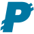 PayNet Coin PAYN logo