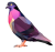 Pigeon Sol PGNT logo