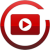 PureVidz VIDZ logo