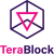 TeraBlock TBC logo