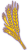 Wheat Token
