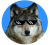 Wolfecoin WOLFE logo