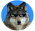 Wolfecoin