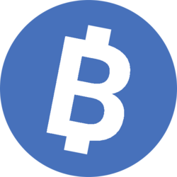 Bitnet (BTN)