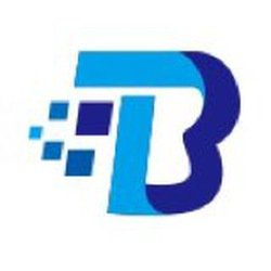 BIZAIN Token (BIZ)