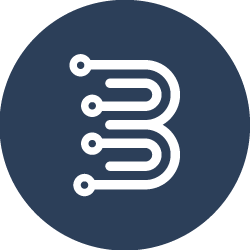 BRMV Token (BRMV)