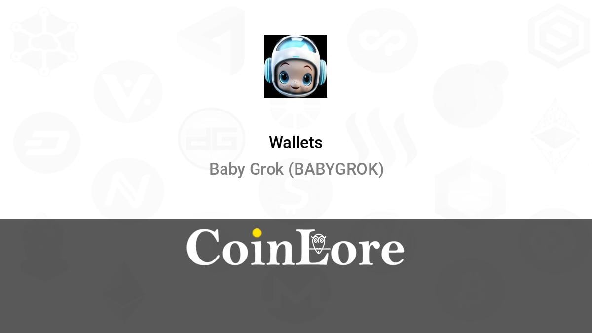 List of Top Baby Grok (BABYGROK) Wallets | CoinLore