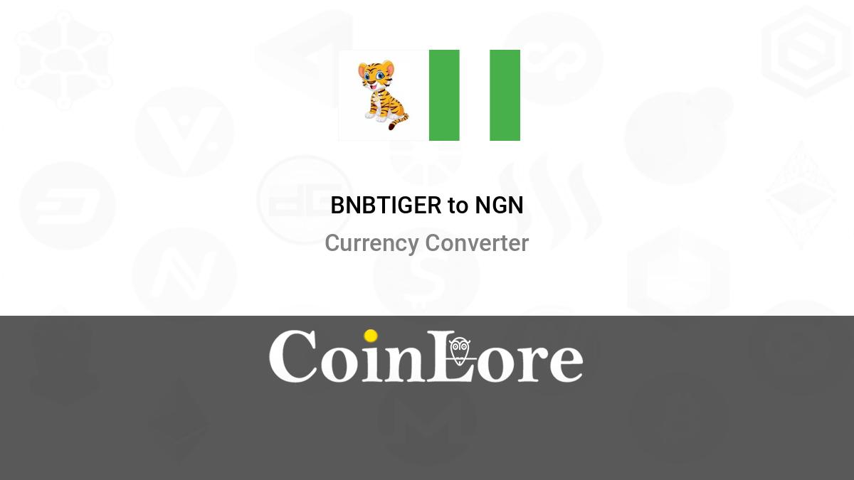 Convert BNBTIGER to NGN