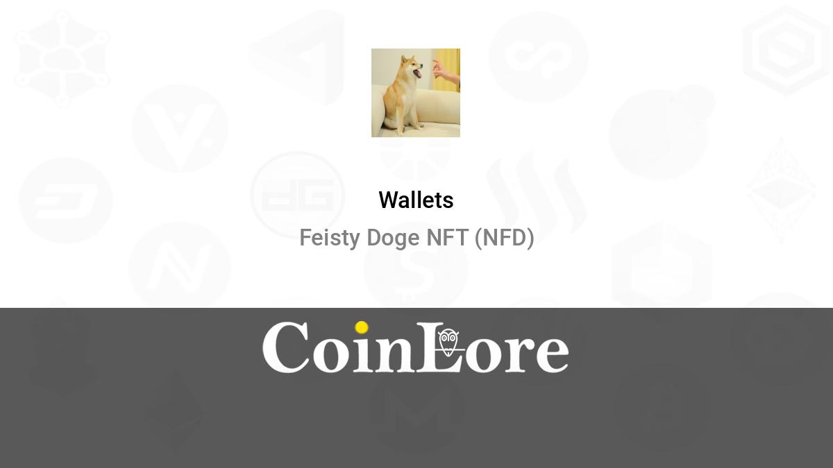 List of Top Feisty Doge NFT (NFD) Wallets | CoinLore