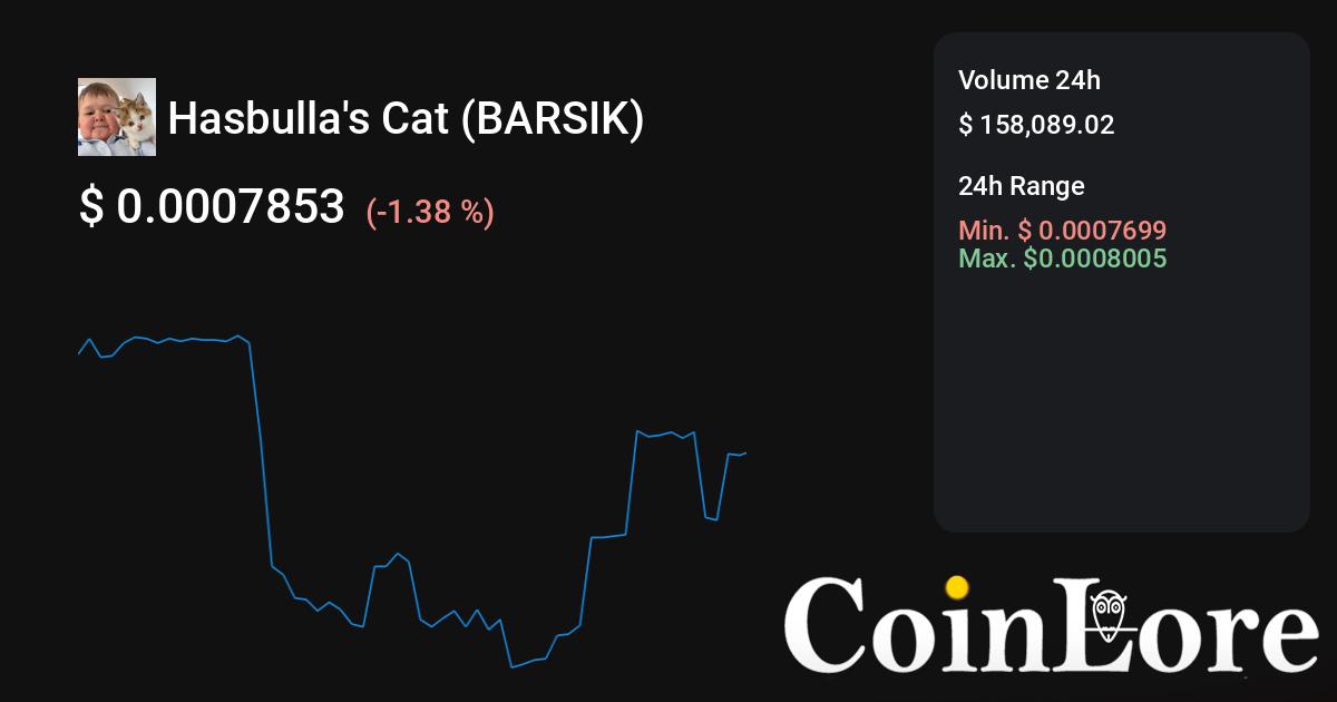 Hasbulla's Cat Price, Chart, Market Cap, BARSIK Coin Essentials | CoinLore