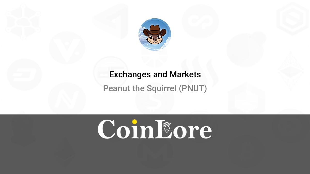 Peanut the Squirrel (PNUT) Nasıl Ve Nereden Alınır | CoinLore