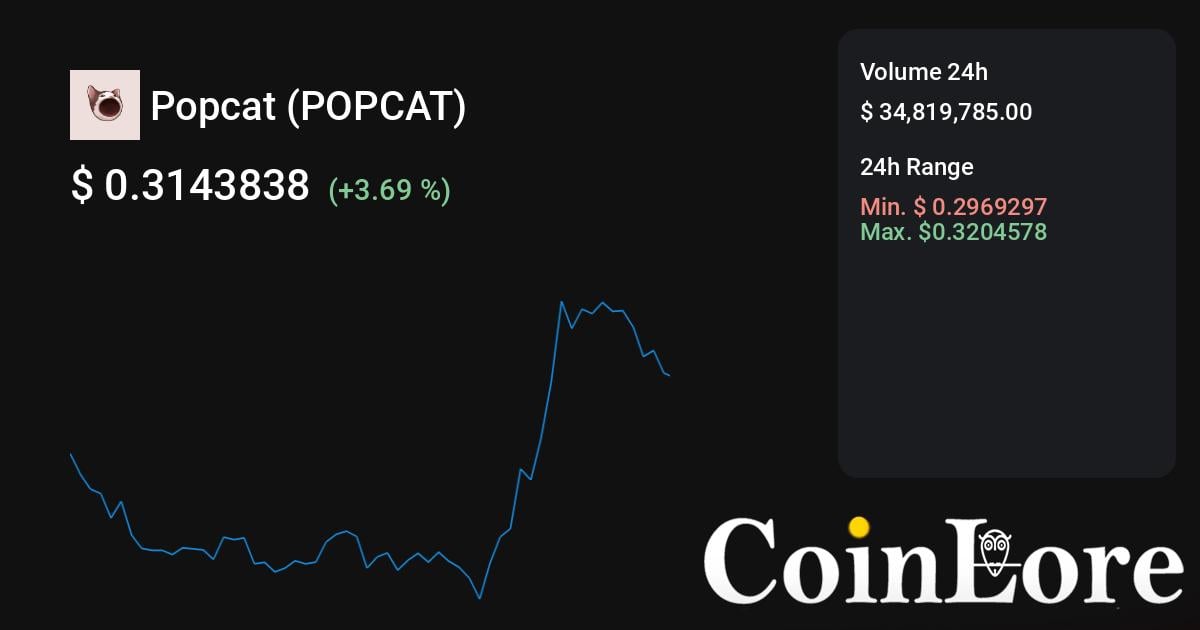 Popcat Price, Chart, Market Cap, POPCAT Coin Essentials | CoinLore