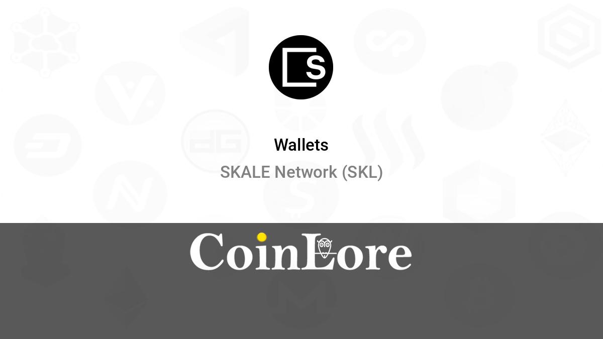 List of Top SKALE Network (SKL) Wallets | CoinLore