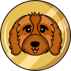 Cavapoo (CAVA)