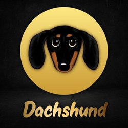 Dachshund (DSD)