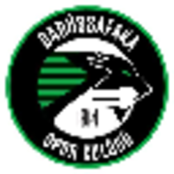Darüşşafaka Sports Club (DSK)