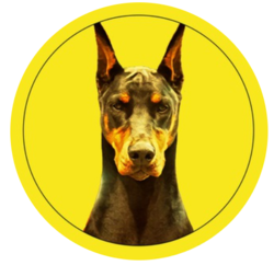 Dobermann (DOBE)