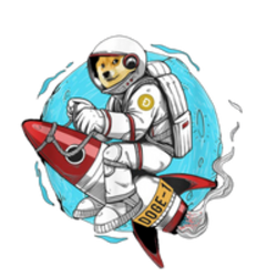 Doge-1 Mission to the moon (DOGE-1)