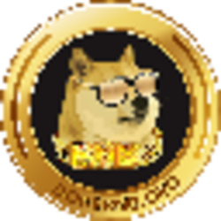 DogeBNB.org (DOGEBNB)