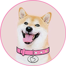 DogeGF (DOGEGF)