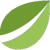 Bitfinex
