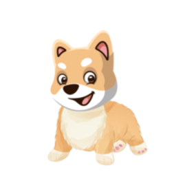 Flokidoge ($FLOGE)