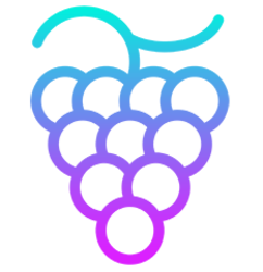 Grape Protocol (GRAPE)