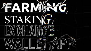 What is Rigel Finance