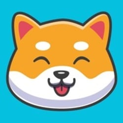 Kawai Shiba (KSHIBA)