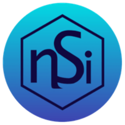 nSights (NSI)