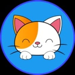 Onigiri Kitty (OKY)