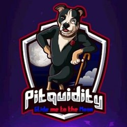 Pitquidity-BSC (PITQD)